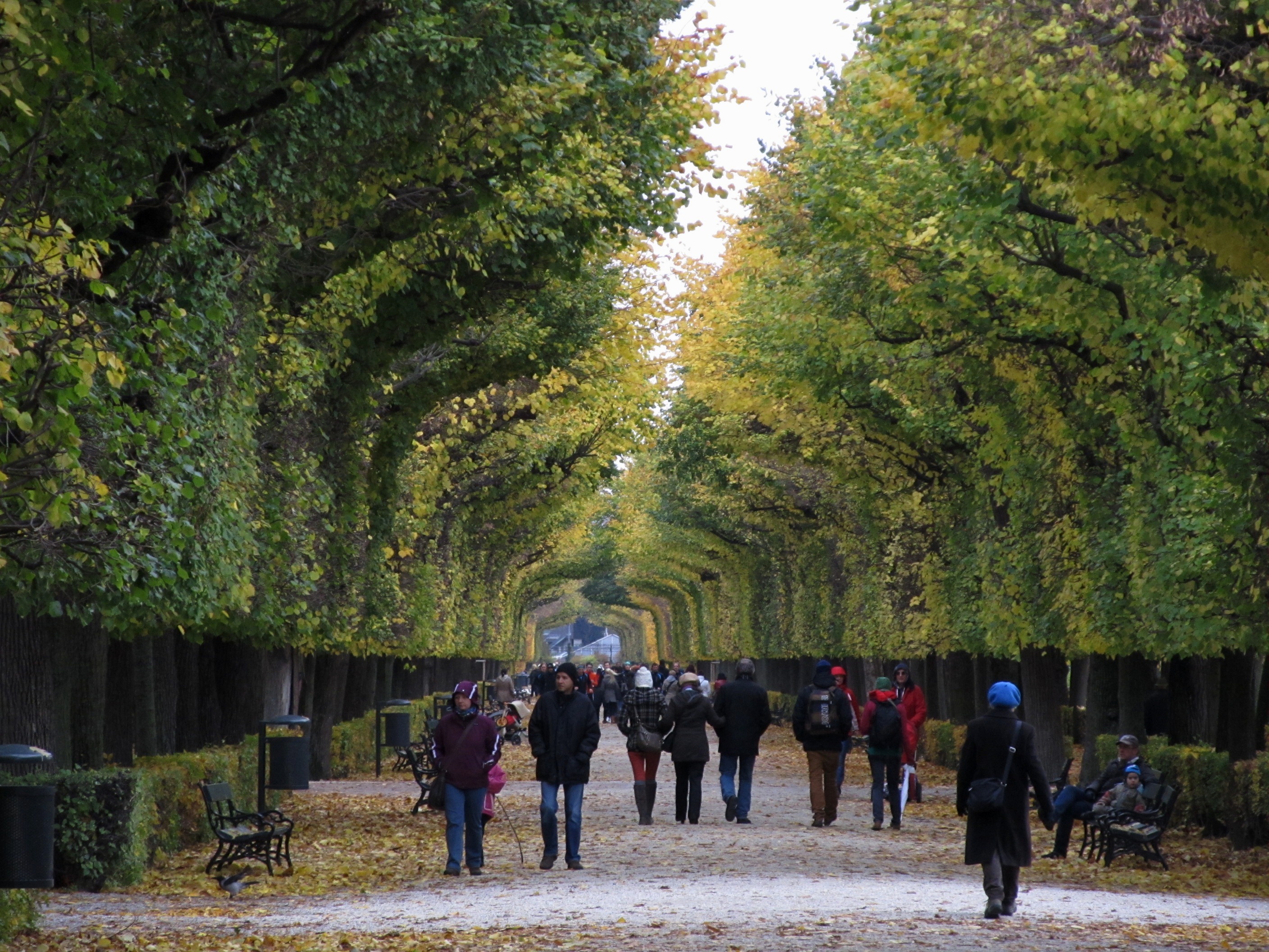 Schloßpark – flowerywallpaper